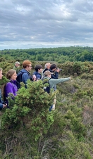 New Forest Attractions & Places to Visit | VisitBritain