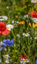 Edinburgh | VisitBritain.org