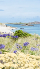 Cornwall | VisitBritain.org