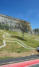 Devon Attractions & Places to Visit | VisitBritain