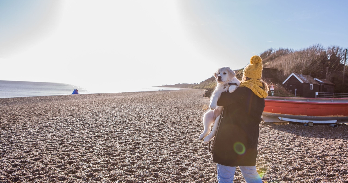 Things To Do & See In The East of England | VisitBritain