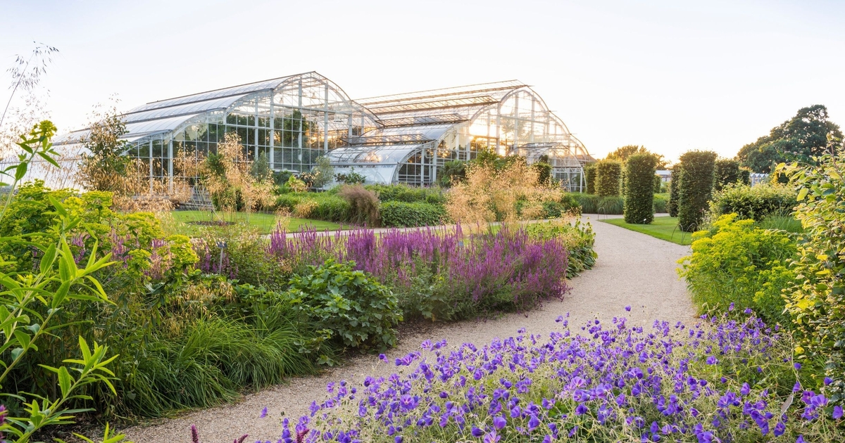 UK Flower Shows with Rare Plants & Species | VisitBritain