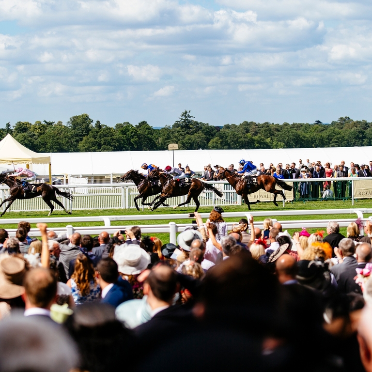 UK Sporting Calendar, Events & Seasons | VisitBritain